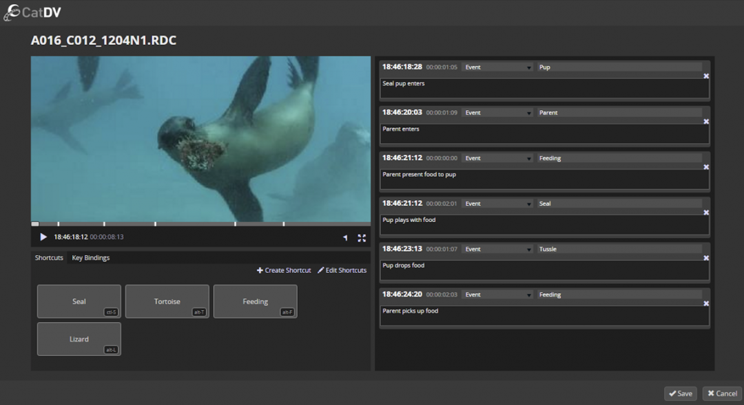All-New Web 2.2 Advanced Interface - Squarebox