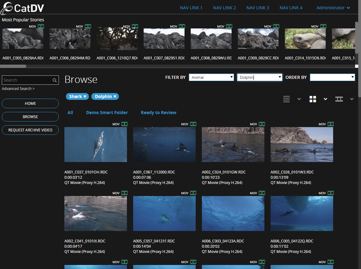 Square Box Systems’ Industry-Leading CatDV MAM Now Includes Expanded Support for Enterprise ...